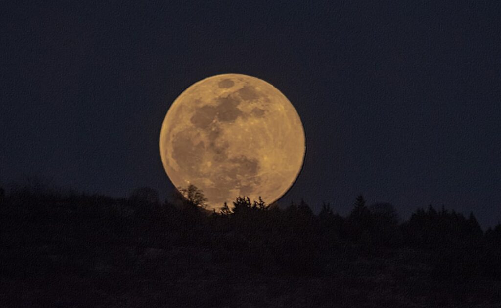 El Mito del Conejo Lunar: Emociones | Mundo Conejo