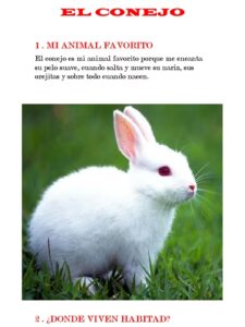 El Profundo Significado del Conejo: Tótem y Símbolo | Mundo Conejo
